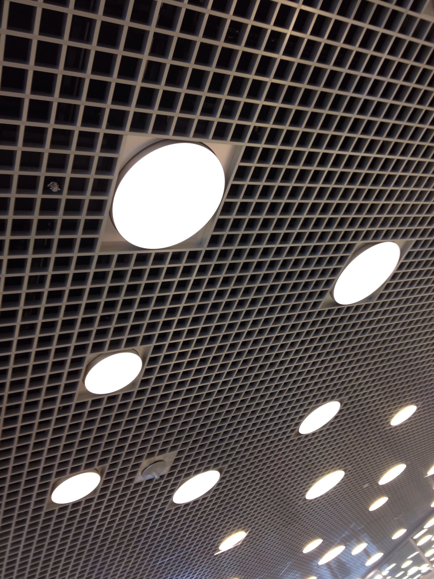 Tavan GRILIATO TETRAL S gri - Carotop